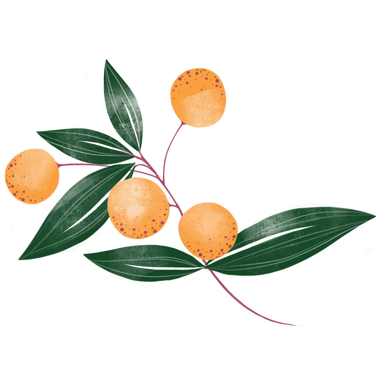 Hello Circus - Watercolour Oranges, Wall Decals | Hello Circus